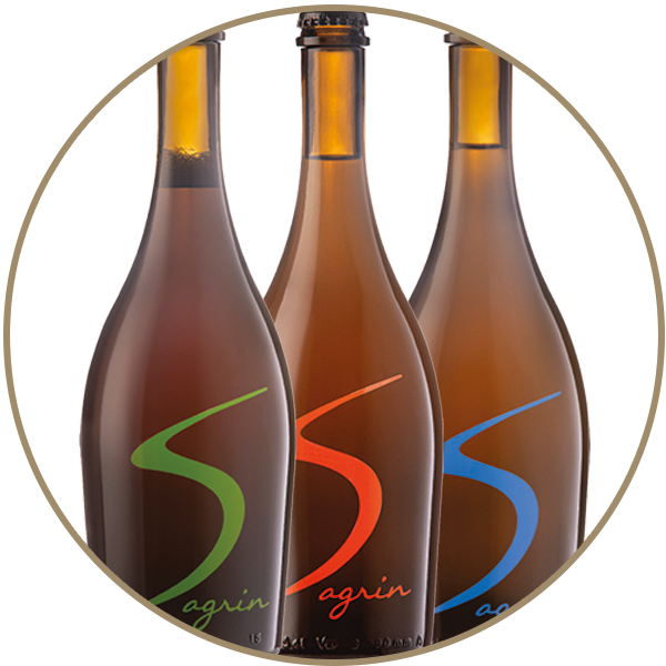 HOME - Birrificio Sagrin - Indipendent Craft Brewery