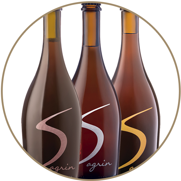 HOME - Birrificio Sagrin - Indipendent Craft Brewery